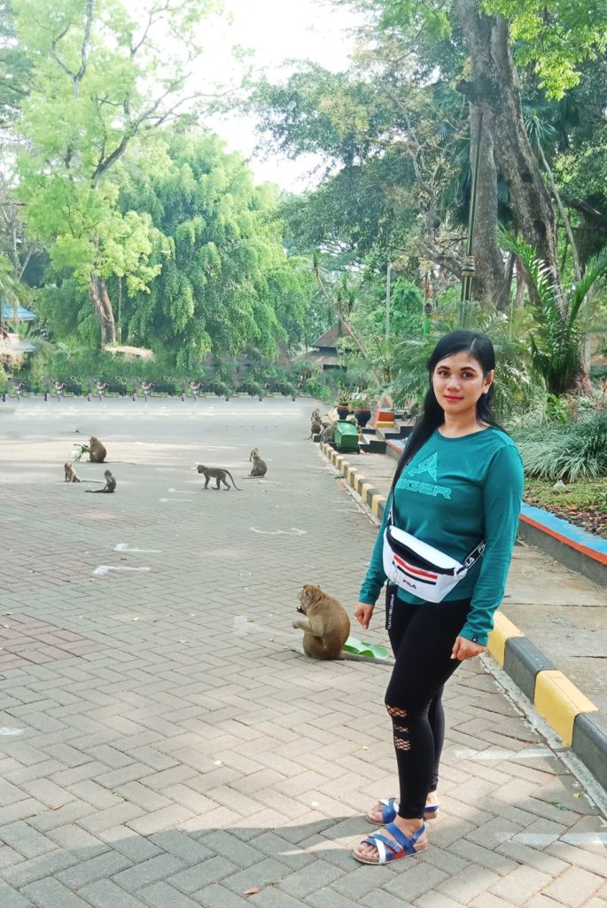 Info Tempat Taman Wisata Wendit Water Park - Travel Malang